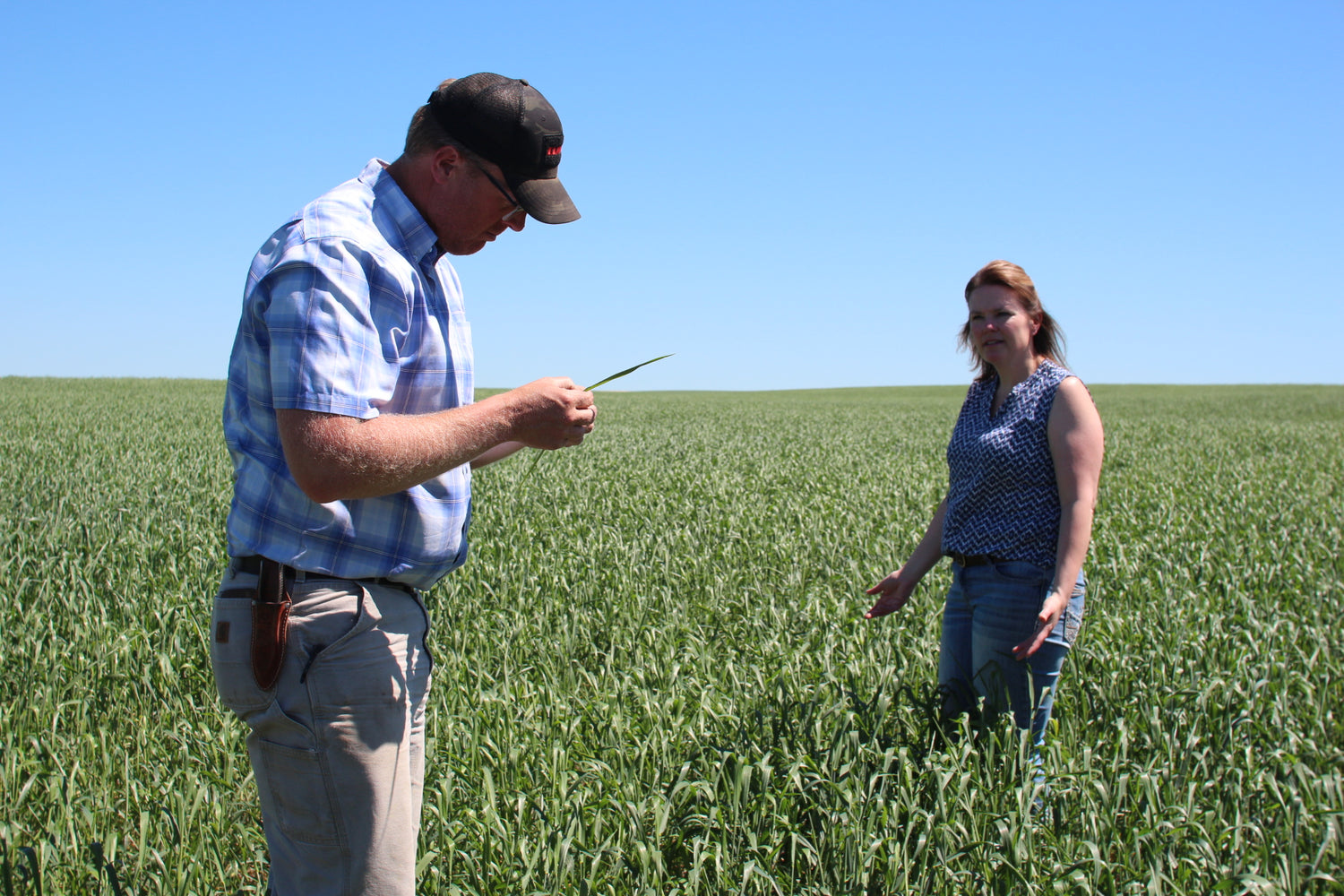 Ojaswe (Oh-Jus-Wee) Gluten-free, South-Asian(ish) food